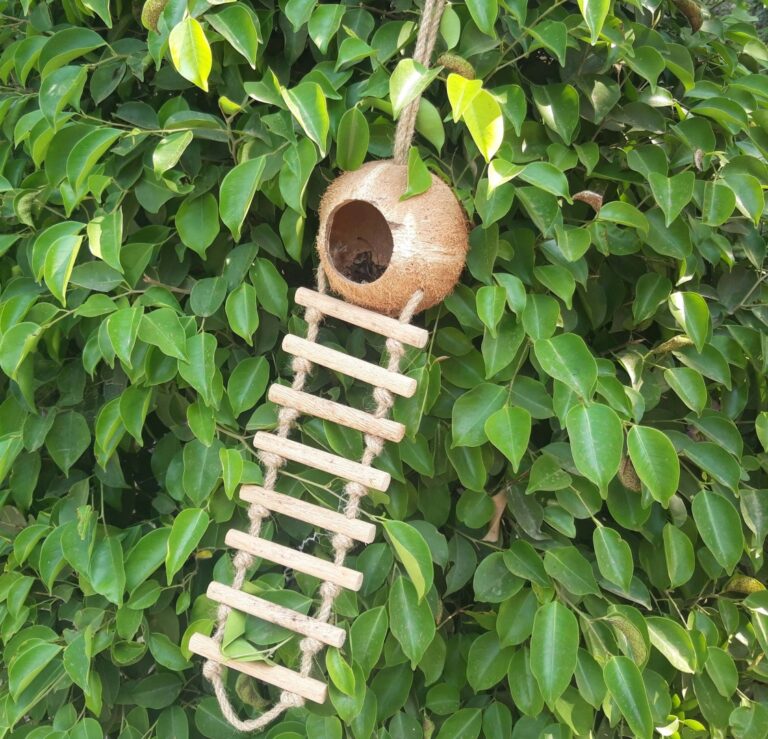 Coconut Bird Nest with Ladder - MINH THANH