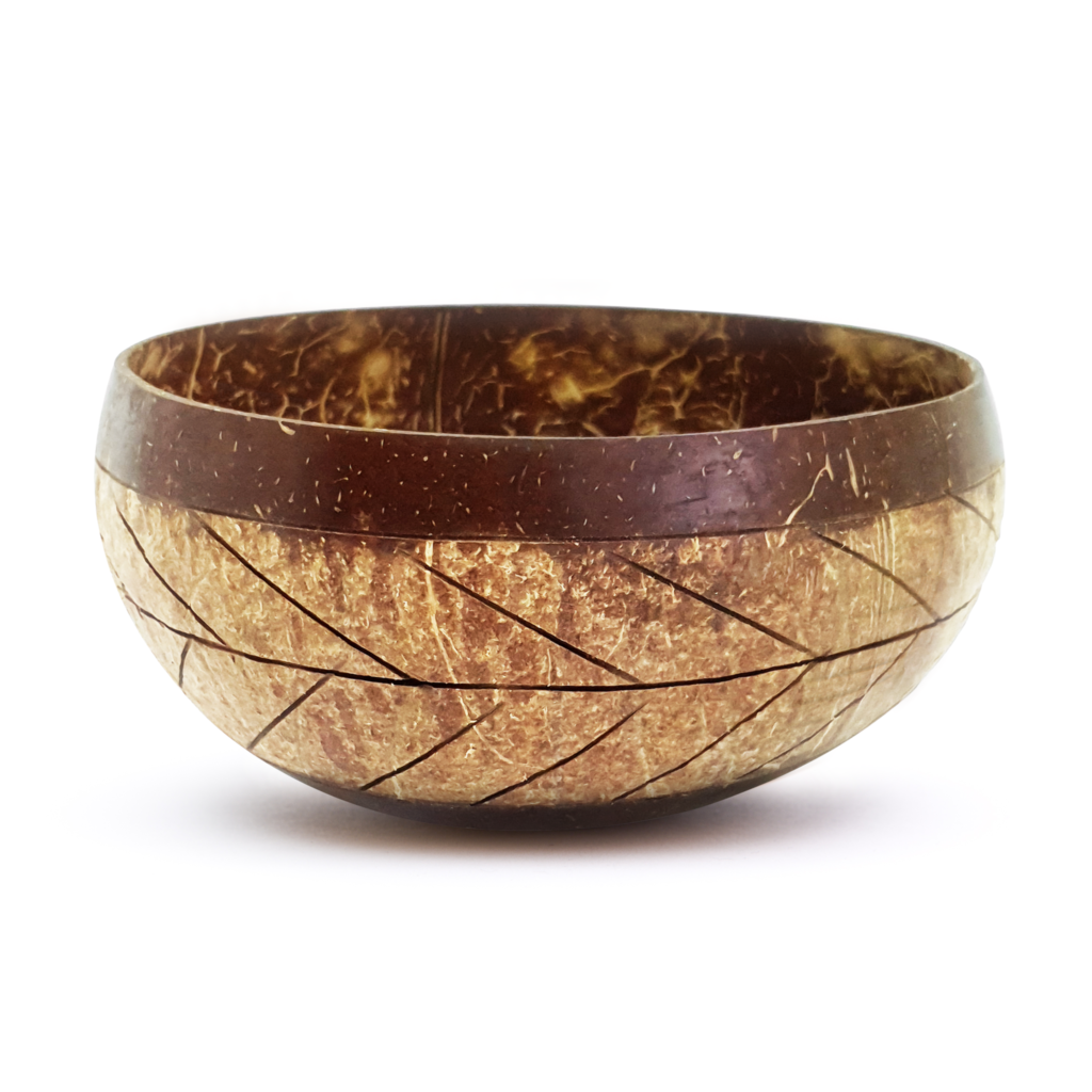 Coconut Arrow Shell bowl - MINH THANH